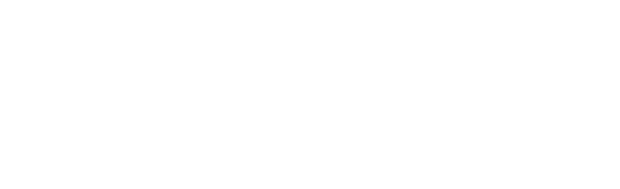 Hoyer Group – light solutions for everyone!